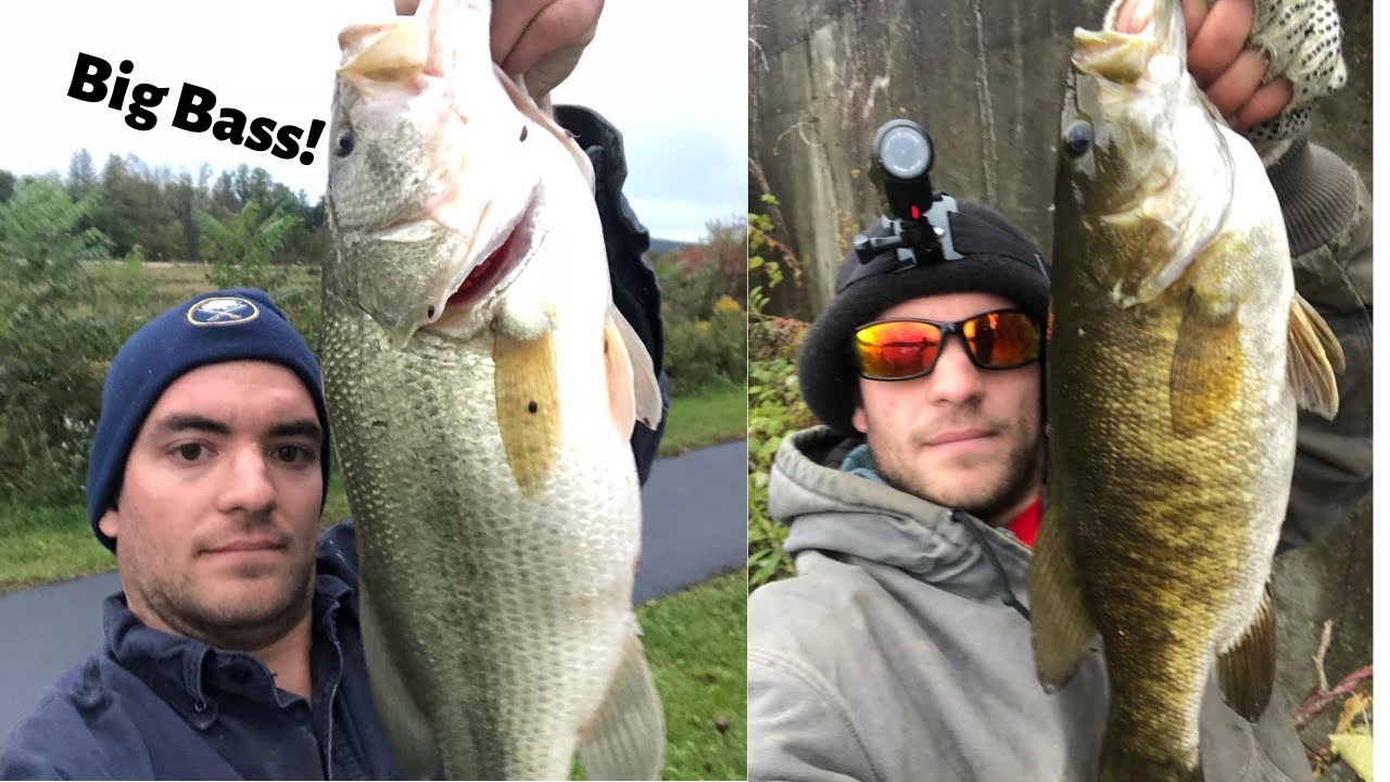 Fall Colors and Big Bass! (Allegany) - YouTube