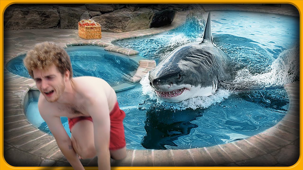 sharks in swimming pools - YouTube