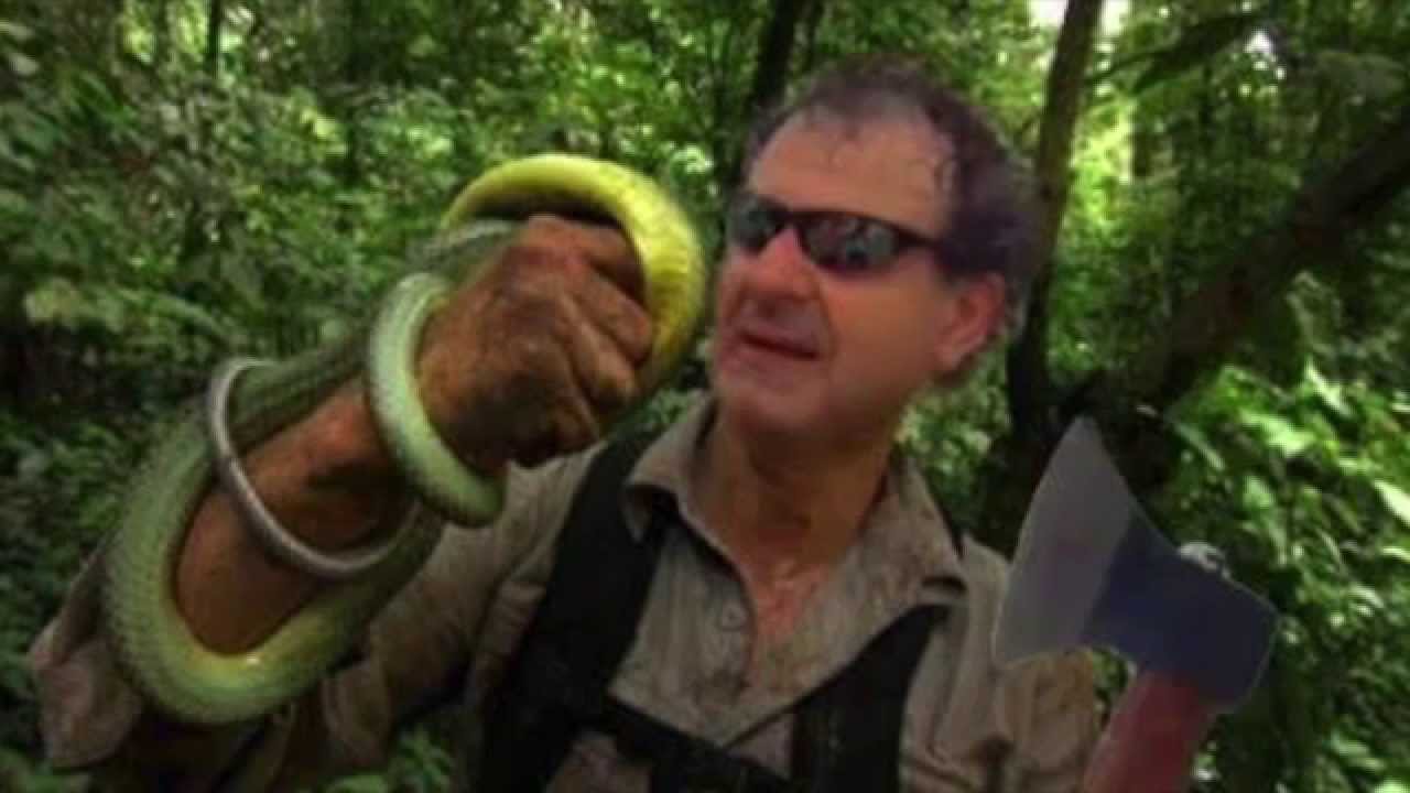 Φιδι με γατα remix - Nick ras - YouTube