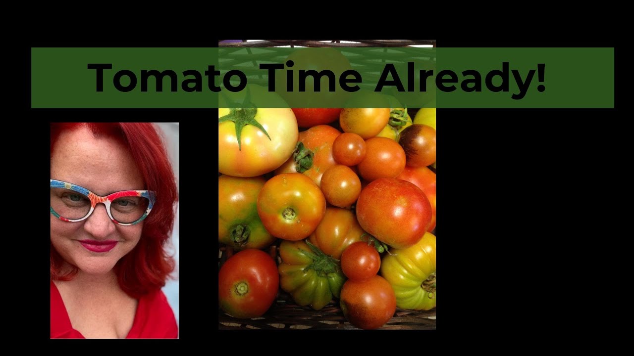 It’s Tomato Time! - YouTube