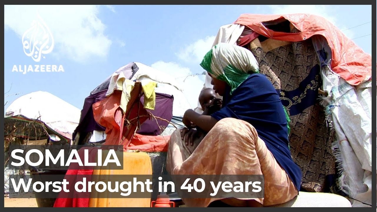 Somalia’s worst drought in 40 years: NGOs warn of deepening crisis ...