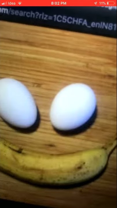 Object detection (coreML, Vision,YOLO) iOS - YouTube