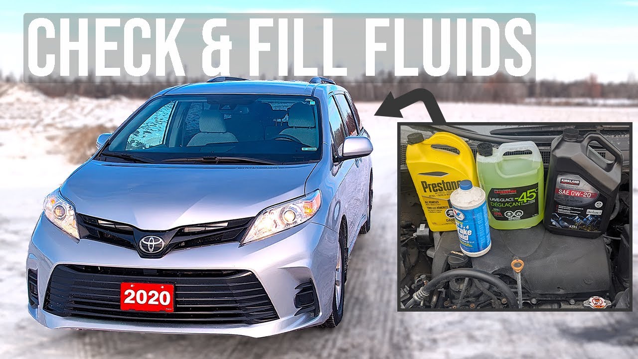 How to Check and Fill Fluids [COMPLETE GUIDE] - Toyota Sienna (2011 ...