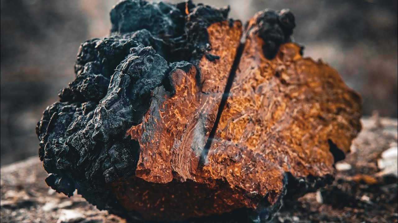 Utilizing Chaga- Woodcraft At The Wall Tent 11 - YouTube