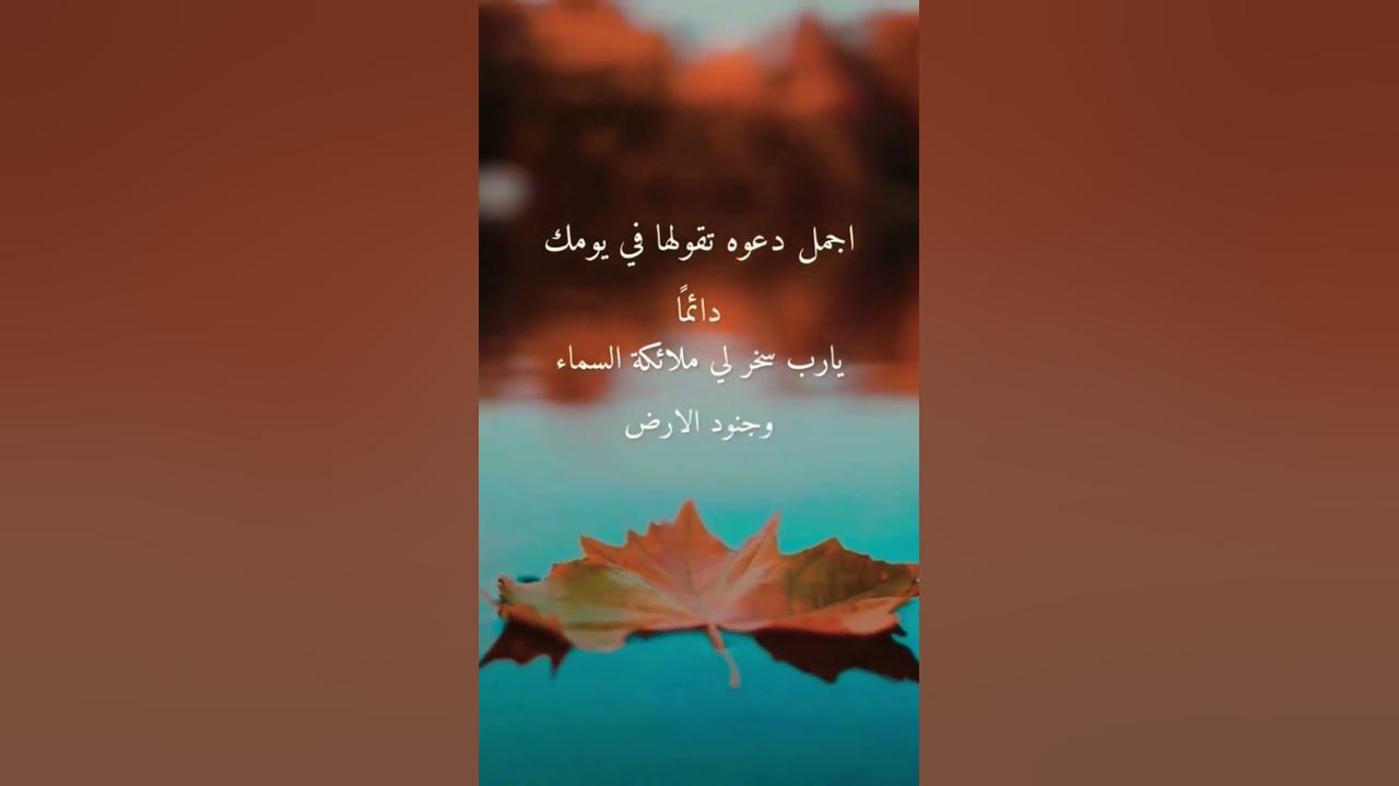 ١٤ كانون الأول ٢٠٢٢ استغفرالله دعاءمستجاب القرانكريم اكسبلورفولو Youtube