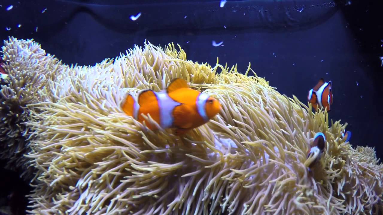 Jack & Dane In Seattle Part 2 - YouTube