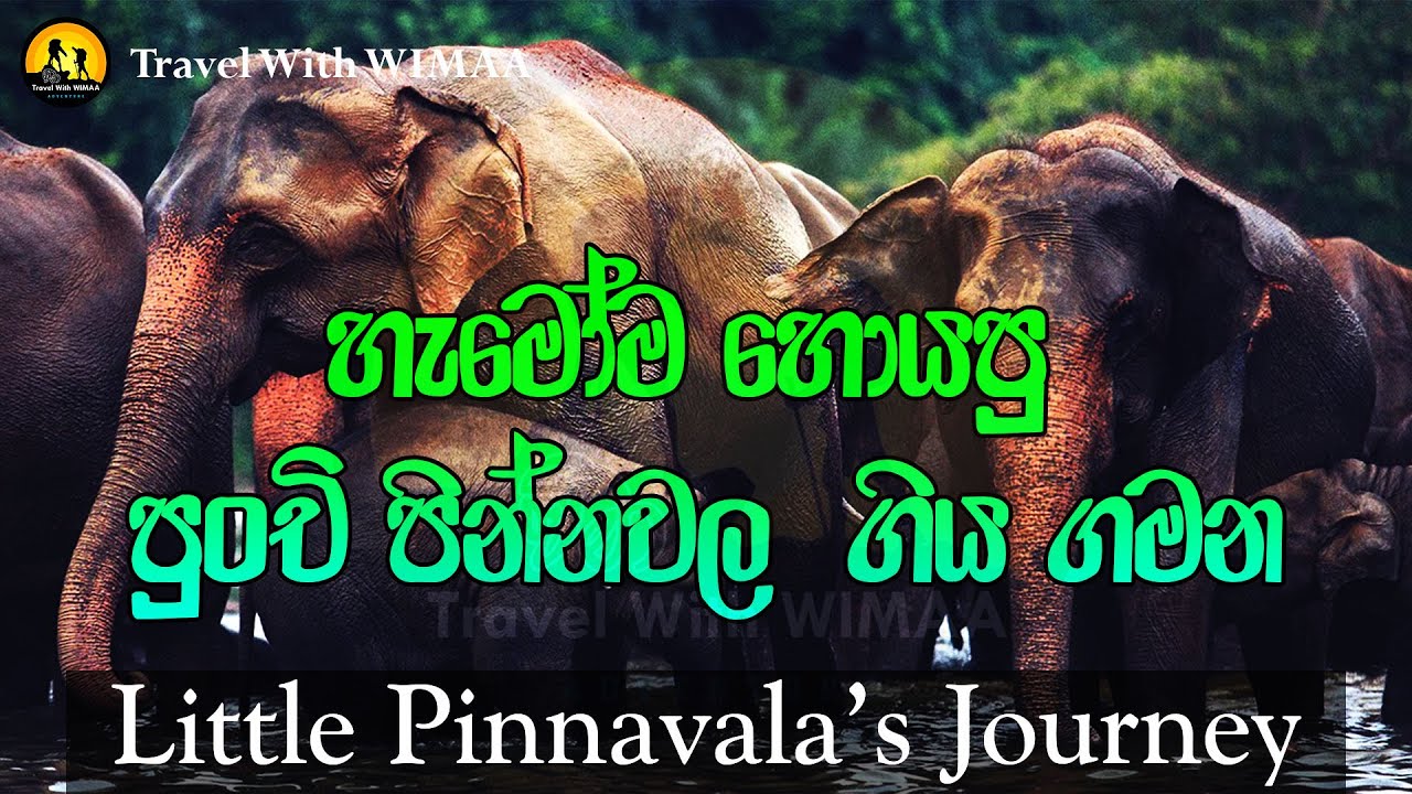 Pinnavala |Travel With WIMAA ලෝකය දකින්න එකතු වෙන්න.| Best travel video ...