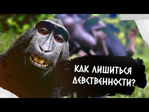 Гайд на то как лишиться девственности - YouTube