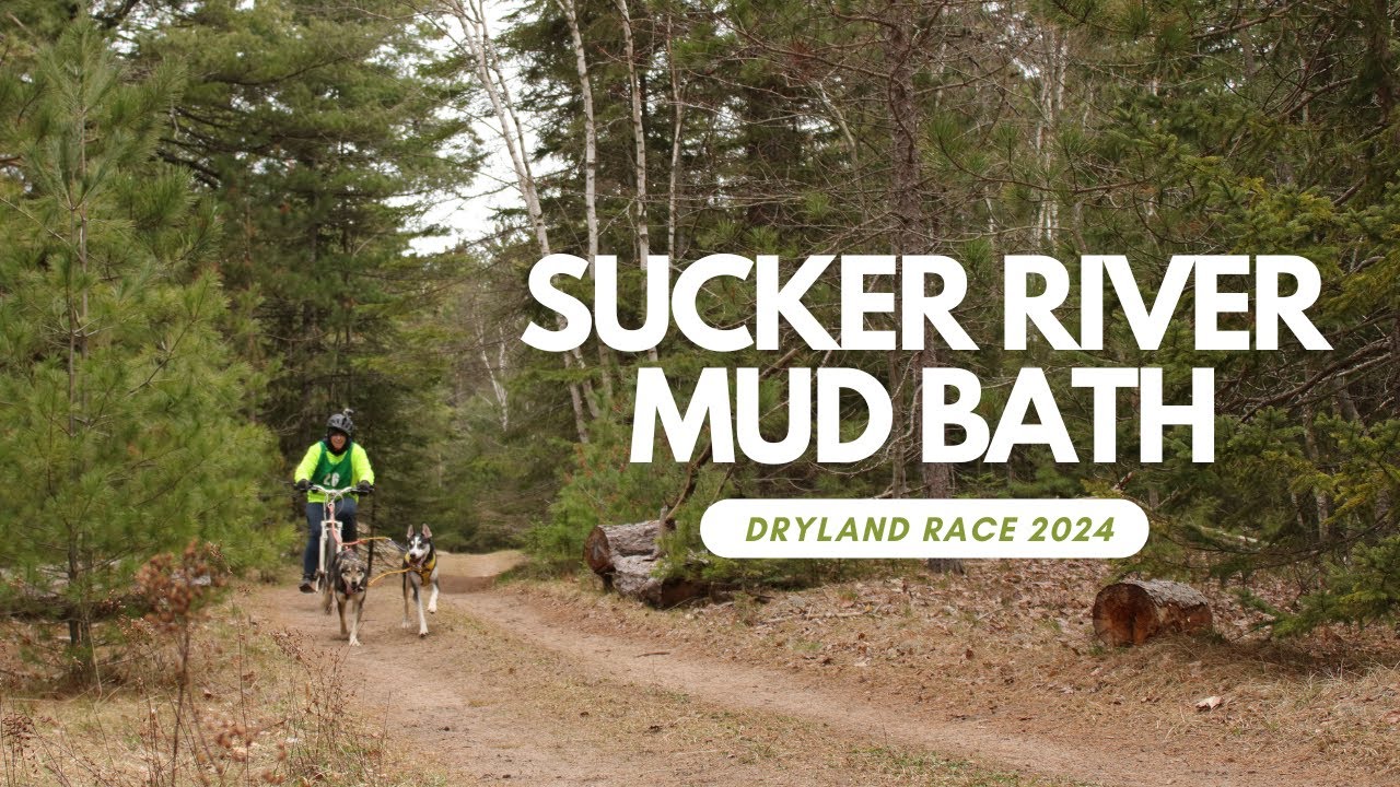 Sucker River Mud Bath - Dryland Race - YouTube