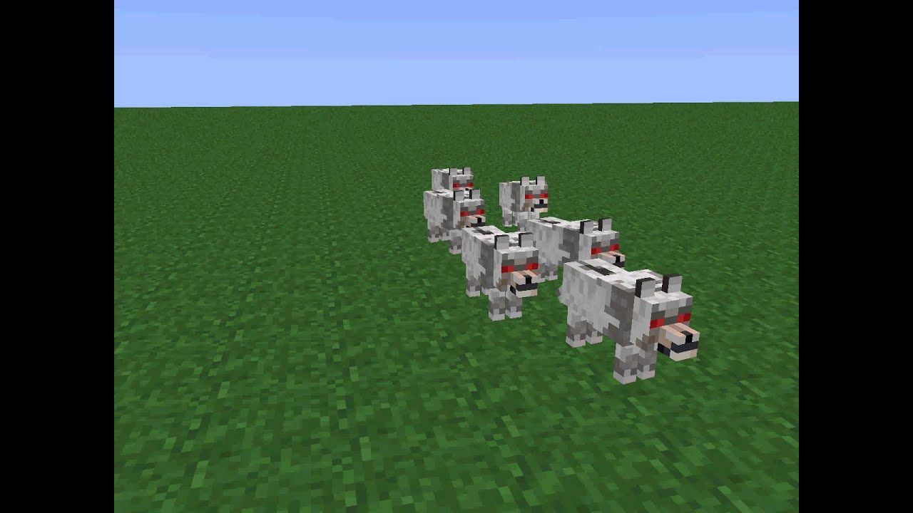 Minecraft Animation: Killer Wolf - YouTube