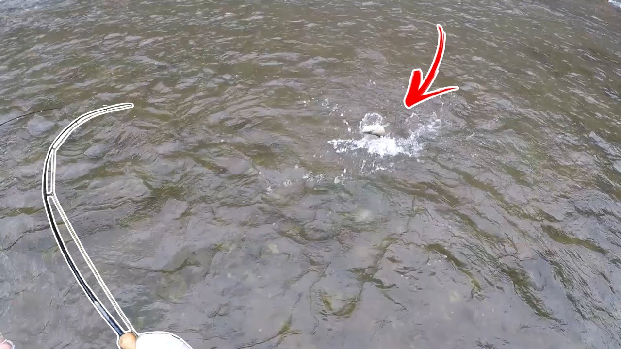 Fly Fishing in EXTREMELY Windy Conditions!! - YouTube