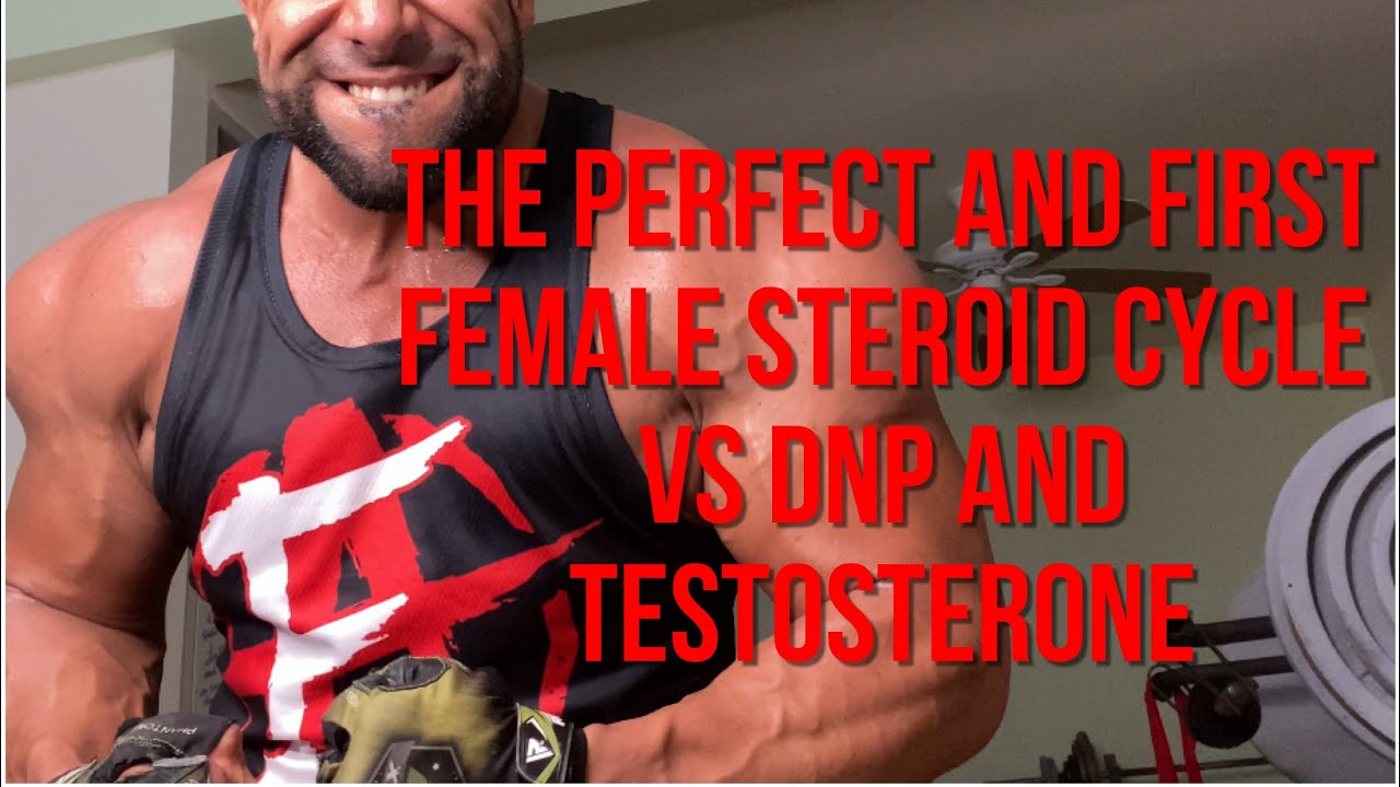 DNP | Bodybuilding | Perfect female steroid cycle vs Testosterone ...