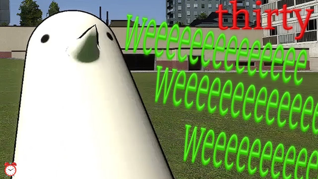 sillybird says weeeeee for thirty seconds - YouTube