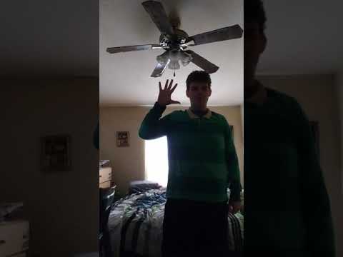 To Play Blue's Clues: Let's Boogie!