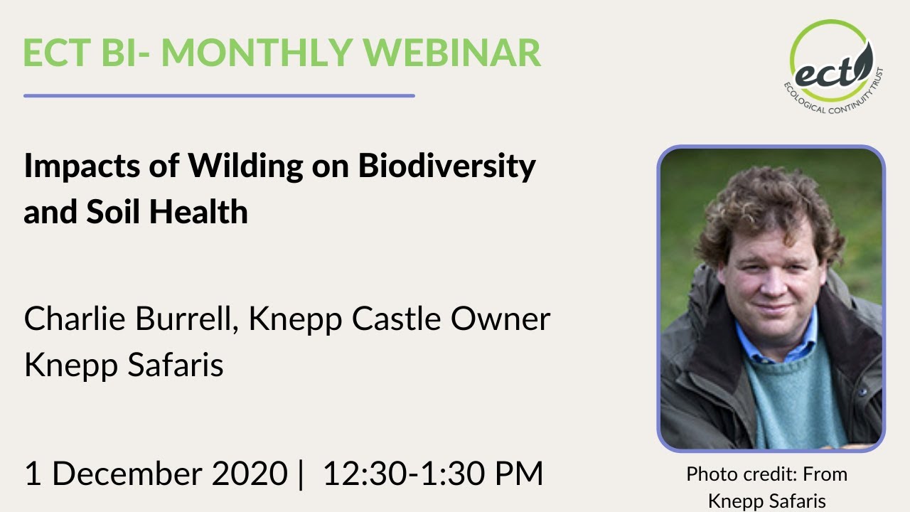 Impacts of Wilding on Biodiversity & Soil Health – Charlie Burrell ...