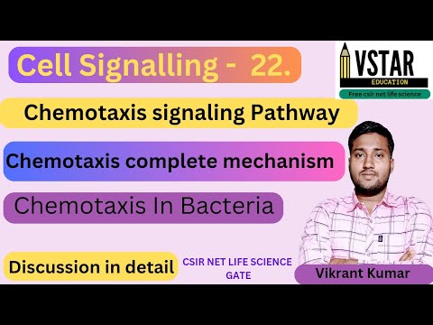 Chemotaxis Signaling Pathway || Chemotaxis In Bacteria csir net ...