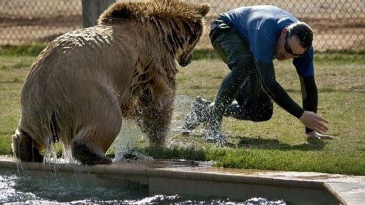 Most Dangerous Animal Encounters Caught on Camera 🤯🤯 || Part 3 ...