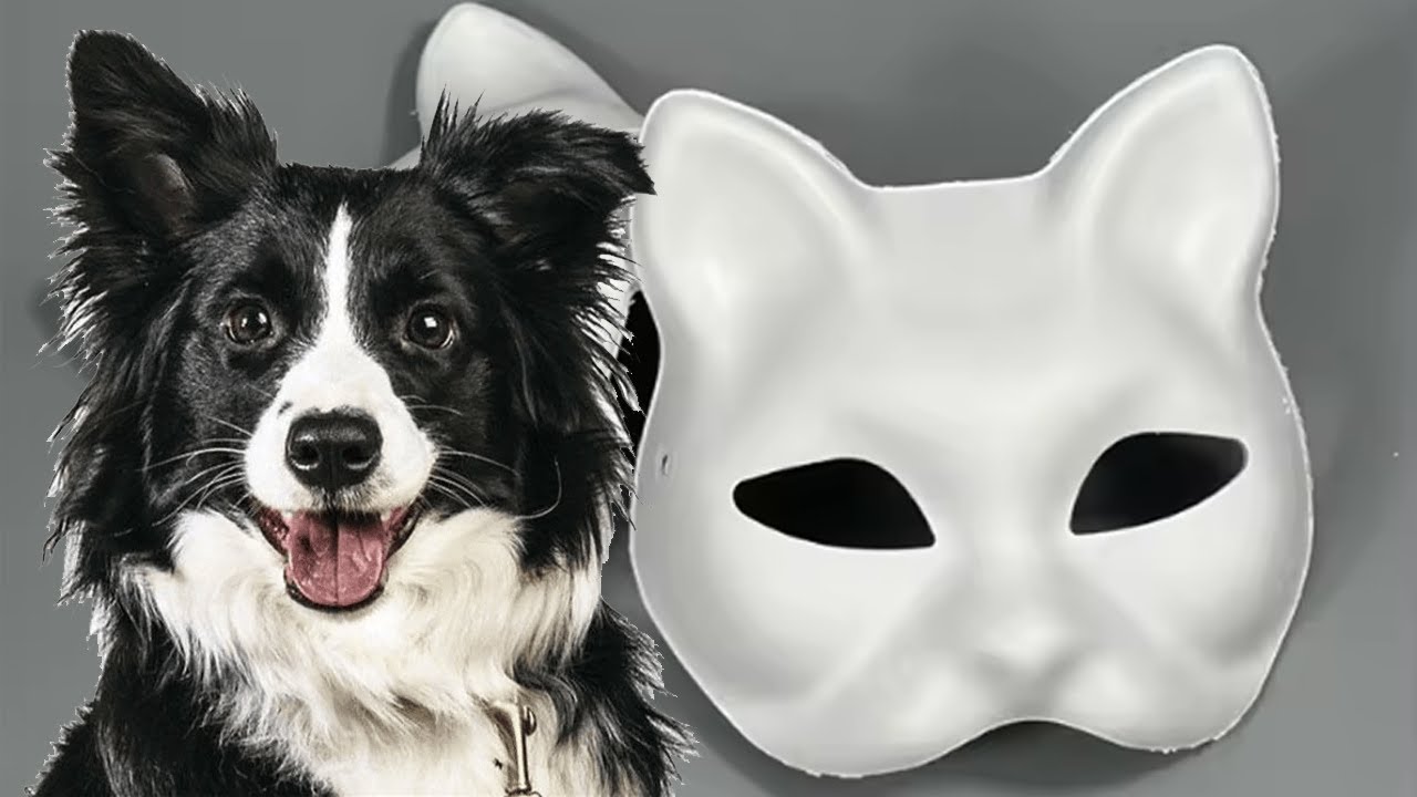 Border collie mask from Therian mask DIY part1 #therianmask # ...