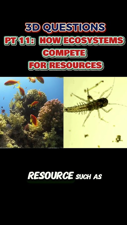 PT 11: 3-D Questions from STEAMspirations: How Ecosystems Compete for ...