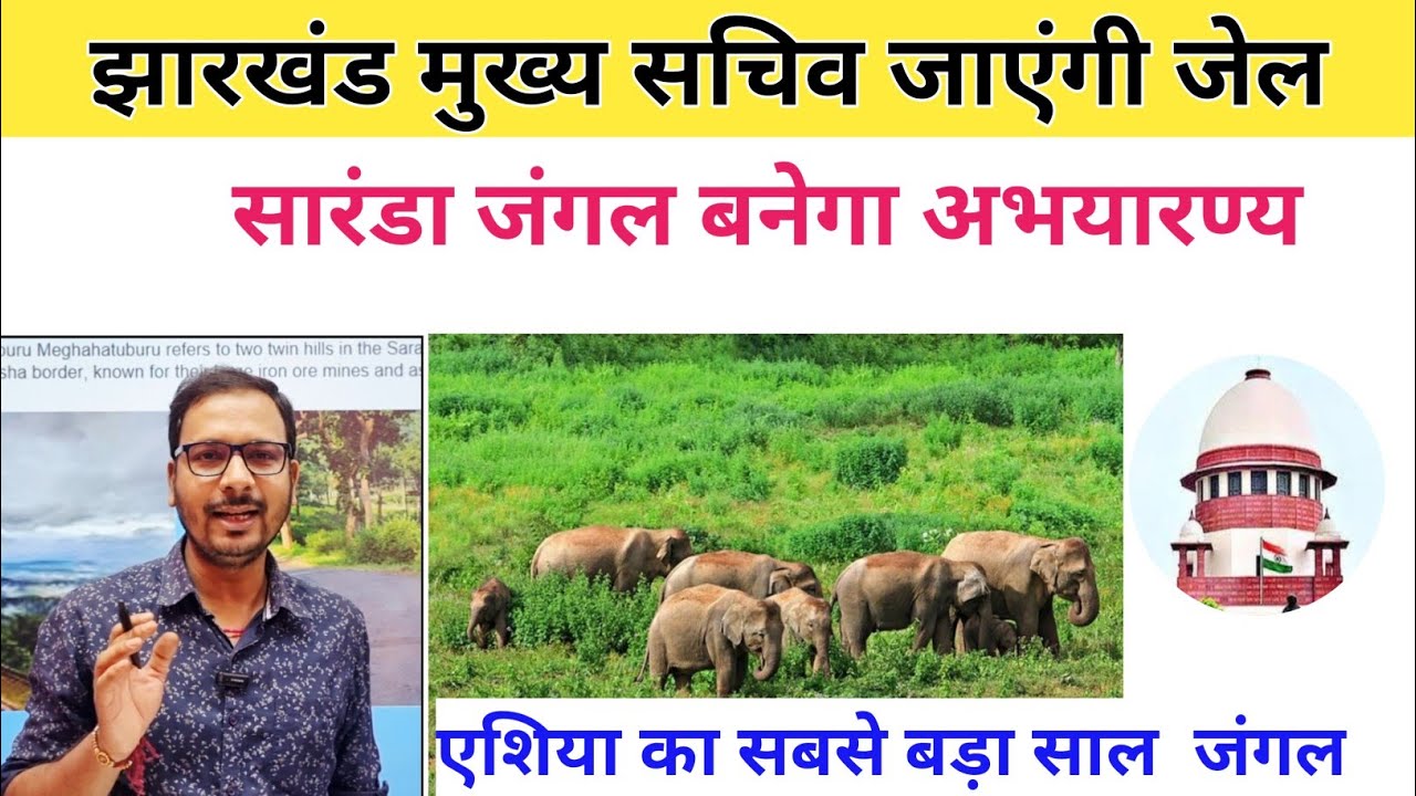 Saranda jungle in jharkhand | saranda forest jharkhand tourism ...