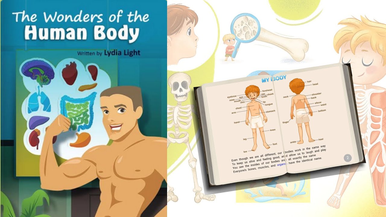 The Wonders of the Human Body | Let's see how amazing it is - YouTube
