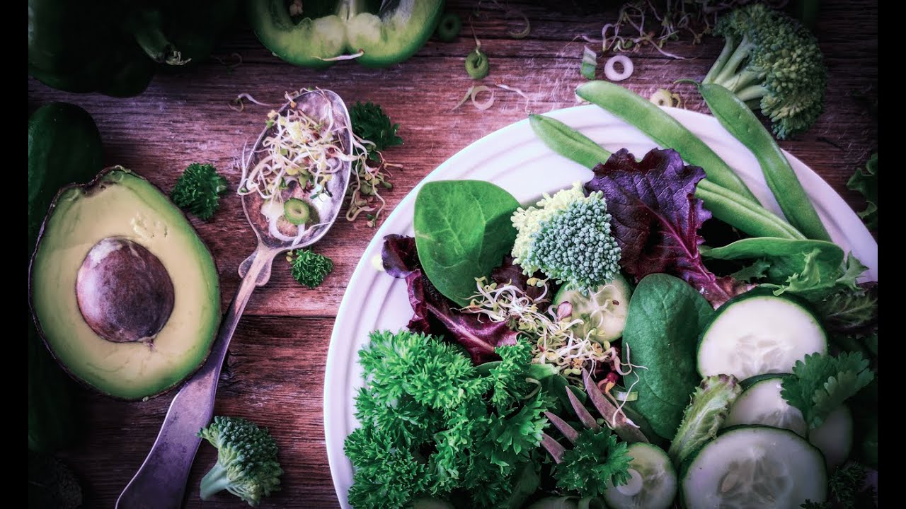 #21: Longevity & FLA Domed Homes - old episode REPOST - from my Rumble to YouTube - YouTube