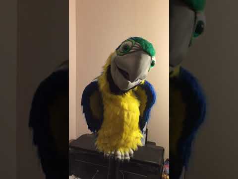 Parrot Ventriloquist Puppet Robot Mega Macaw Hands Fee Animatronic ...