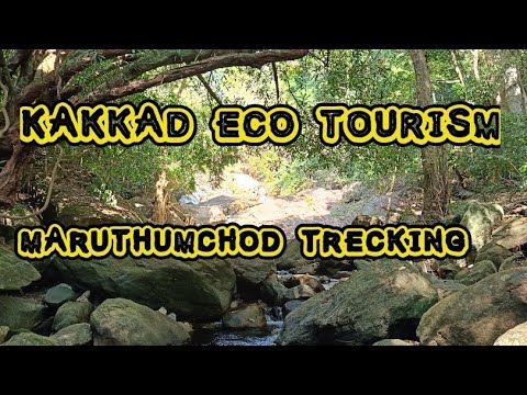 Maruthumchod Trecking |Kakkad Eco Tourism #riverchasing #streamchasing ...