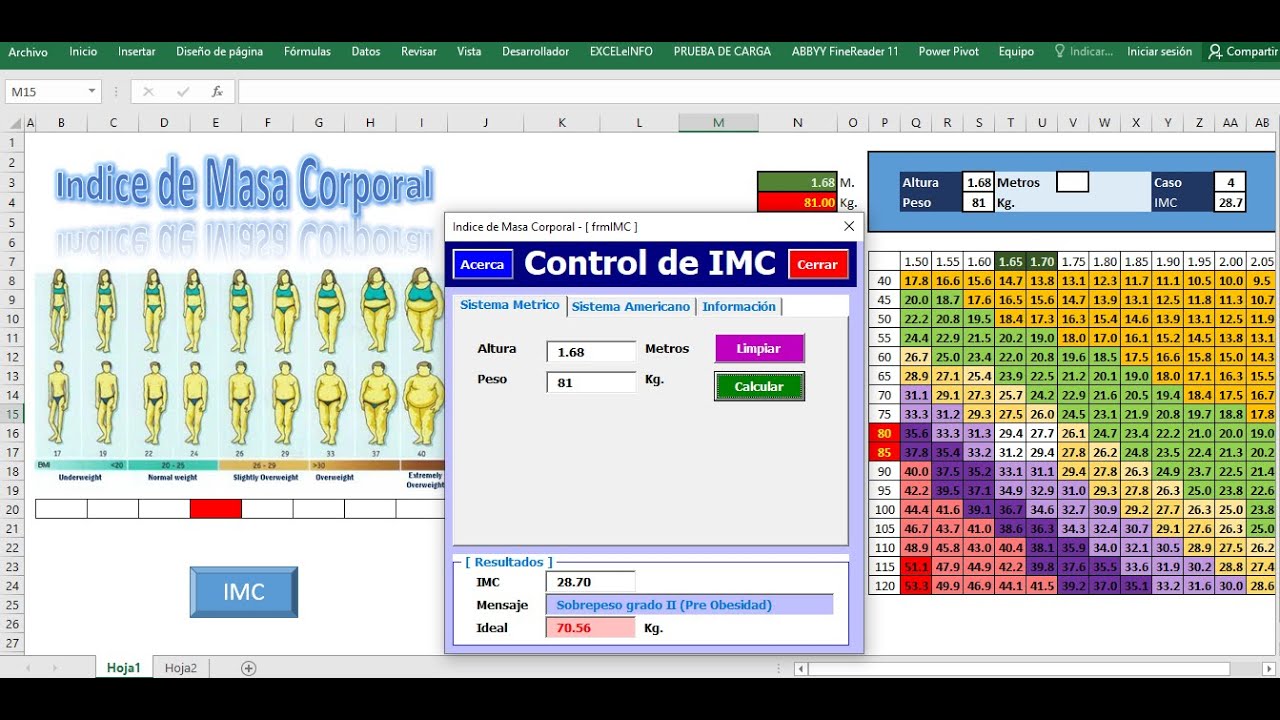 Indice de Masa Corporal Parte 01 - Excel - YouTube