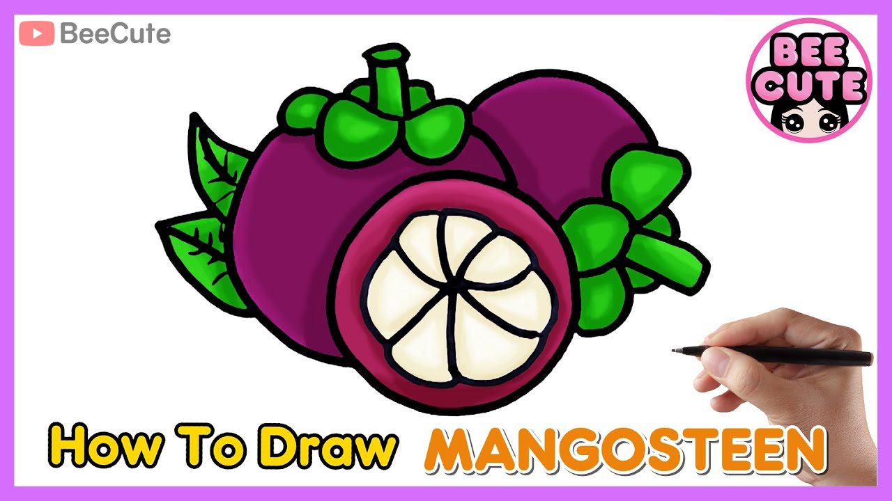 How to draw Mangosteen Easy step by step | Drawing and Coloring ...