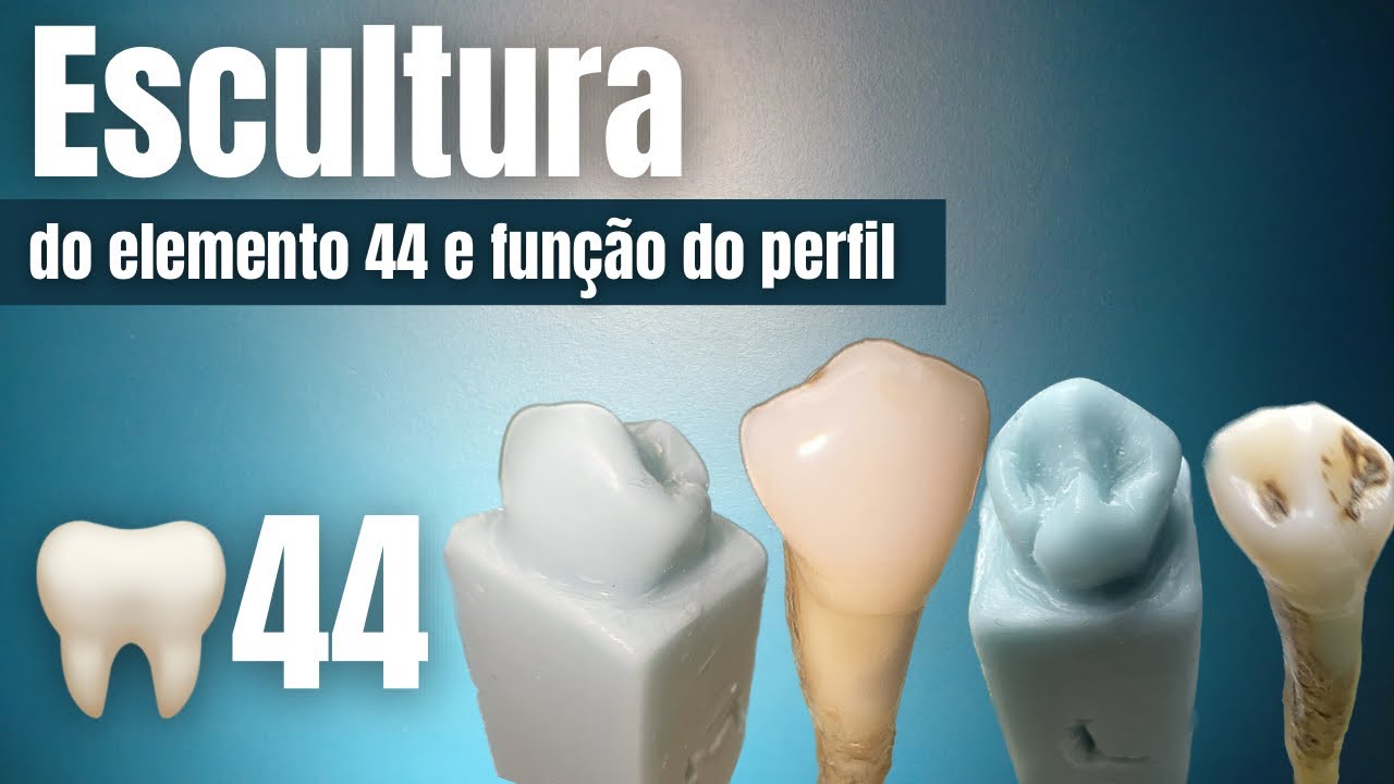 Escultura do dente 44 - YouTube