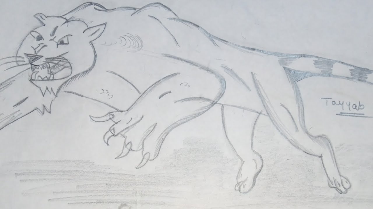 Dangerous creatures pencil sketch/Dangerous creatures/Dangerous ...