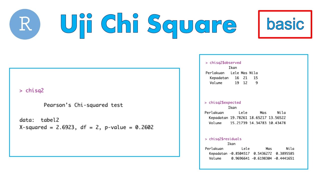 Uji Chi Square menggunakan R software [Stat: Eps 3] School of R - YouTube