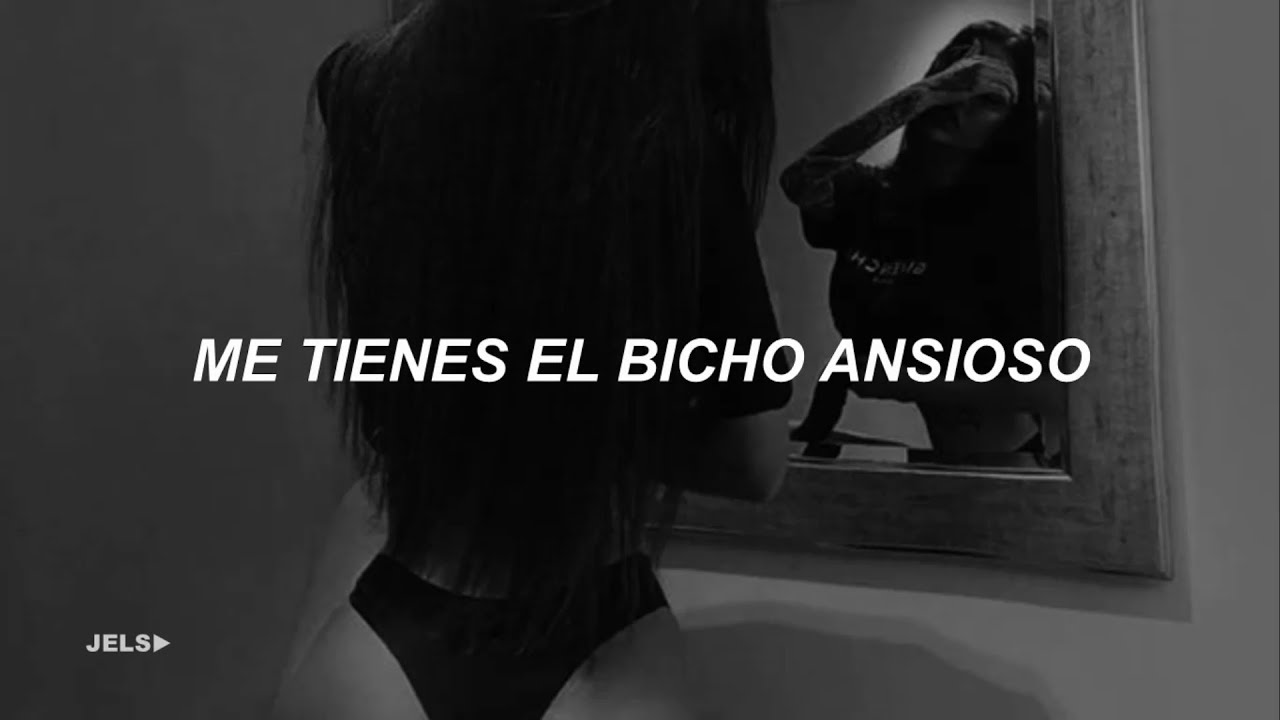 Me tienes el bicho ansioso quédate en cuatro que se ve precioso 🔥|| Bad ...