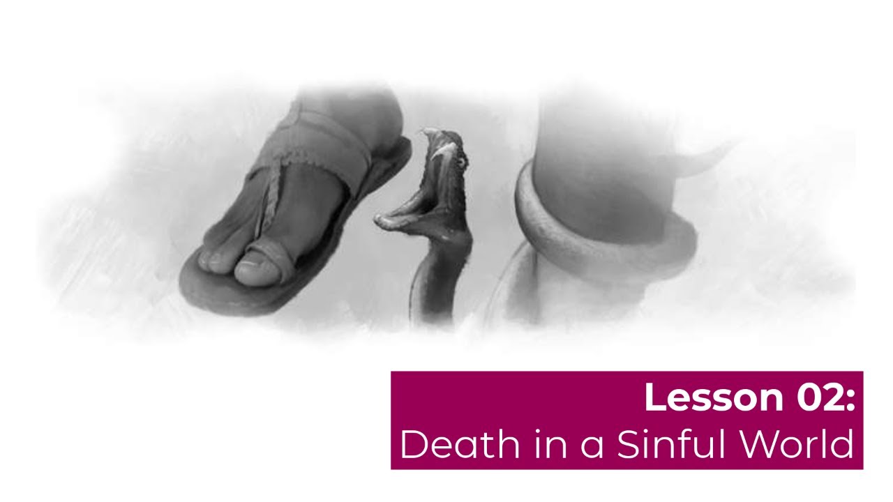 Lesson 02 - Death in a Sinful World | BIBLE STUDY - YouTube