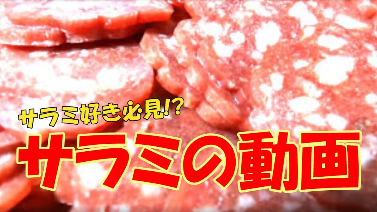 サラミにさらに徹底的に迫った動画 （THE SALAMI MOVIE） - YouTube