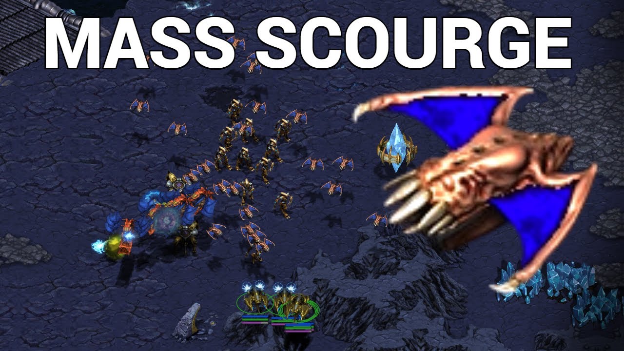 StarCraft 1: 24 Scourge vs 7 Corsairs - Dewalt vs 815 | CNSL 6 - YouTube