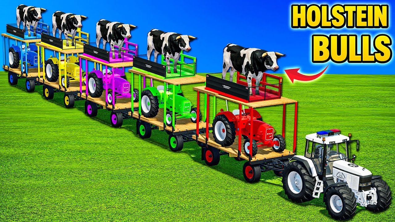 HOLSTEIN BULLS & MINI TRACTORS TRANSPORT OF COLORS! JOHN DEERE EPIC FS ...