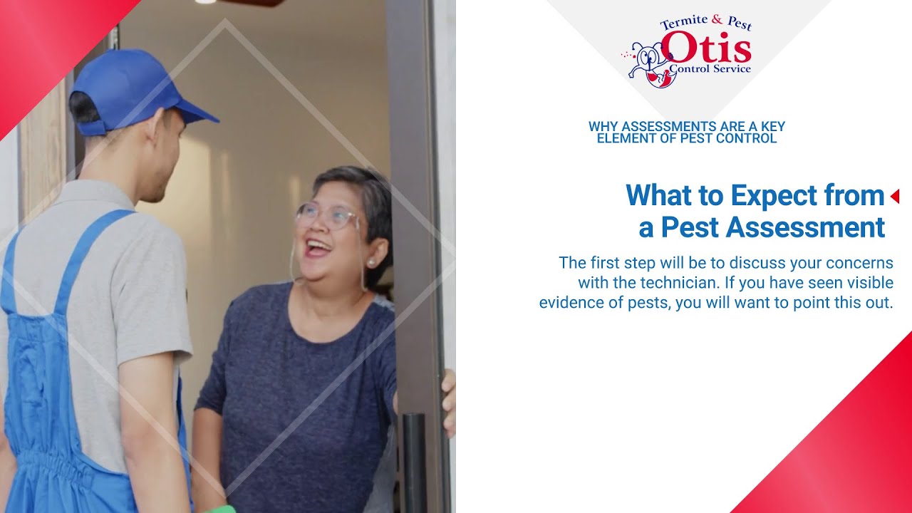 Why Assessments Are a Key Element of Pest Control - YouTube