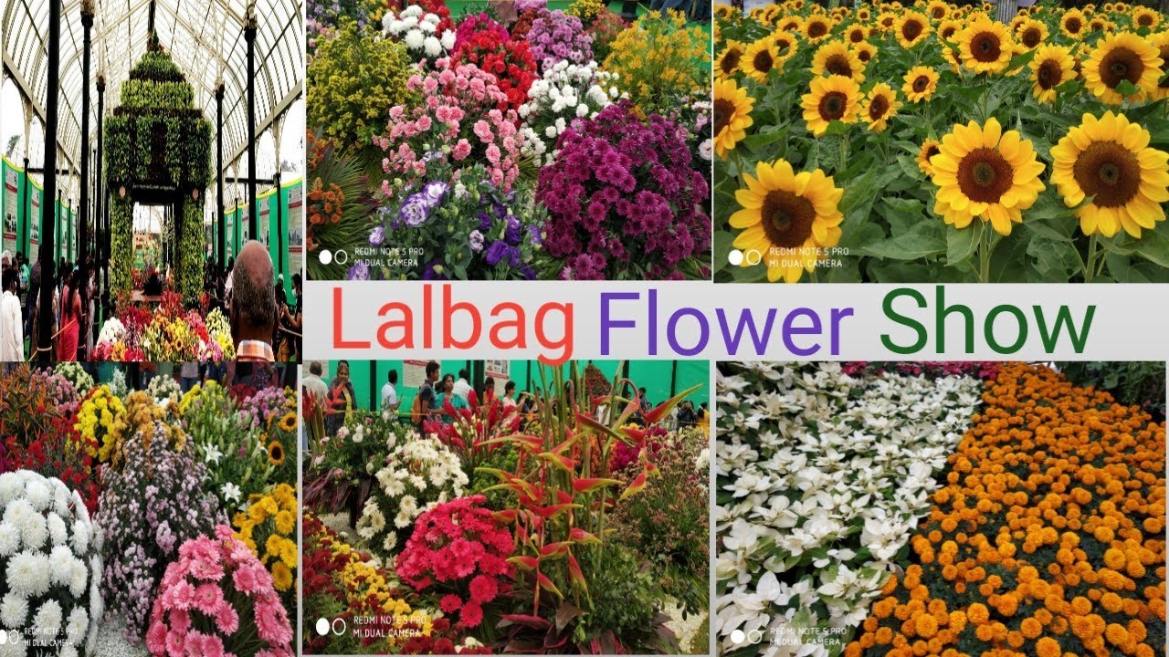 Lalbagh Botanical Garden 2023 | Republic Day Flower Show 2023 - YouTube