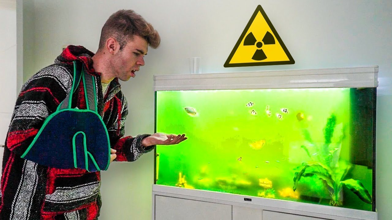 ASÍ ENCONTRÉ MI PECERA AL VOLVER A CASA *pecera toxica* [Salva] - YouTube