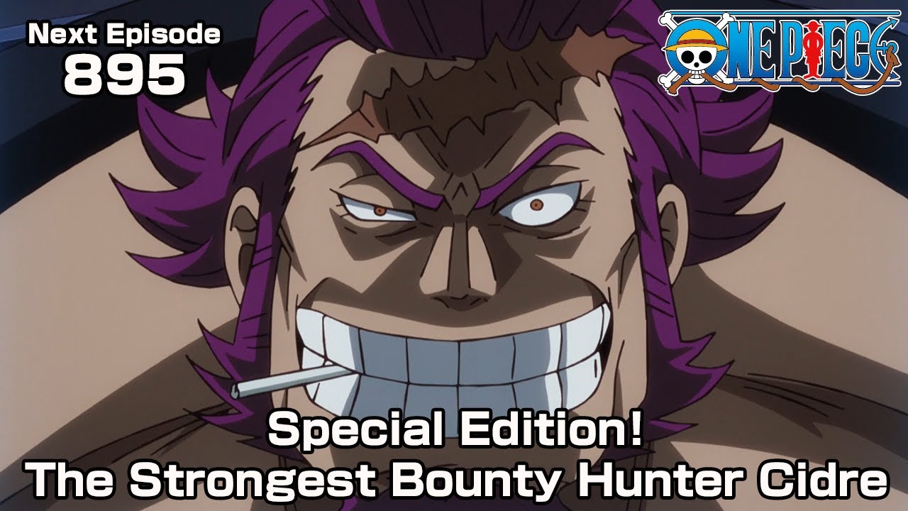 ONE PIECE episode895 "Special Edition! The Strongest Bounty Hunter ...