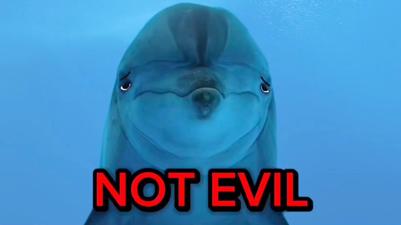 Why dolphins are NOT evil - YouTube