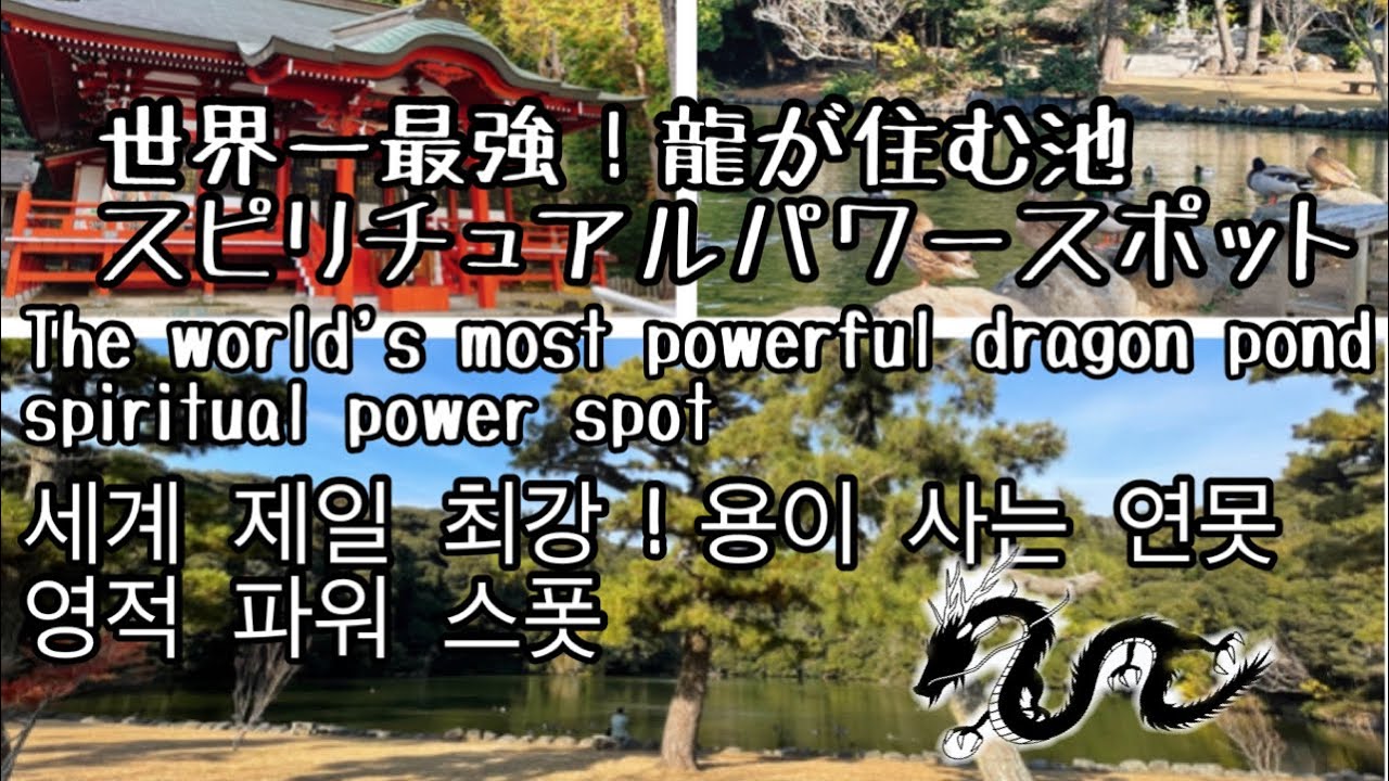 【静岡】世界一最強！龍神神社🐉 세계 제일 최강! 류진신사 🐉 The strongest in the world! Ryujin ...