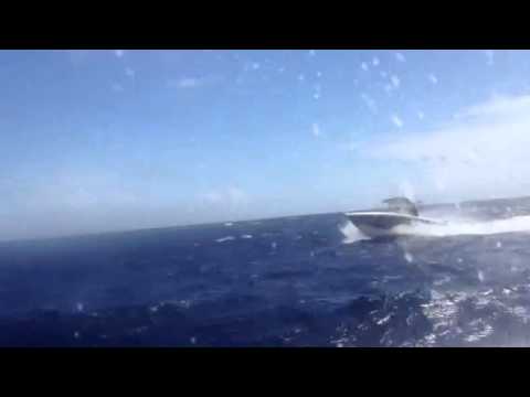 Contender 40 express vs Fountain 34cc - YouTube