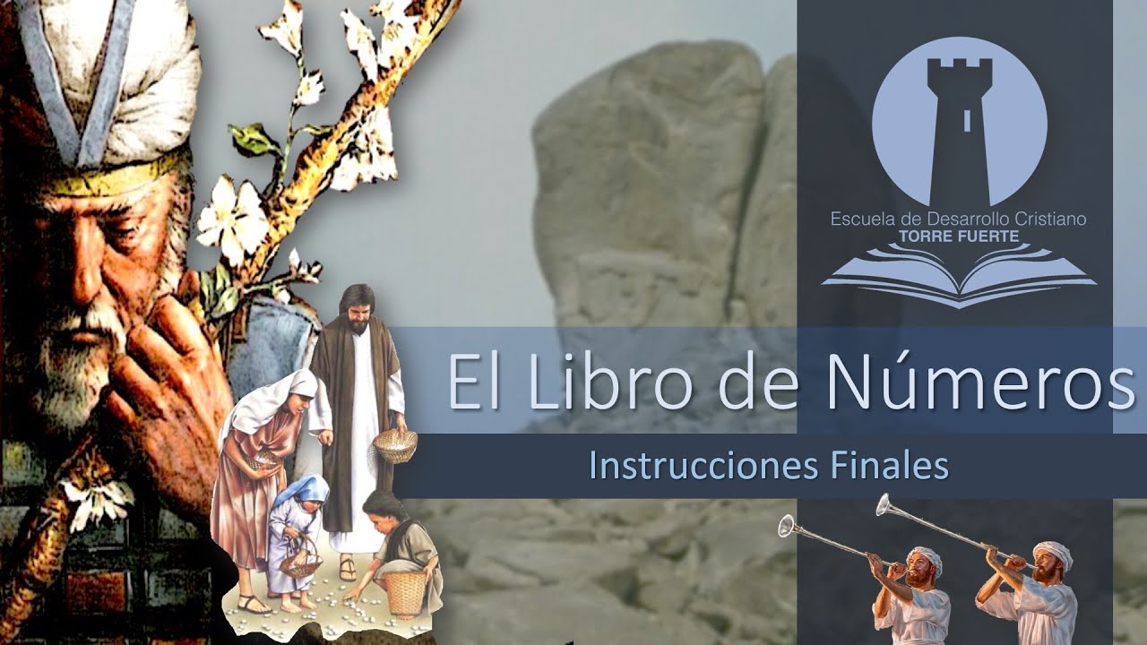 12. Instrucciones Finales - YouTube