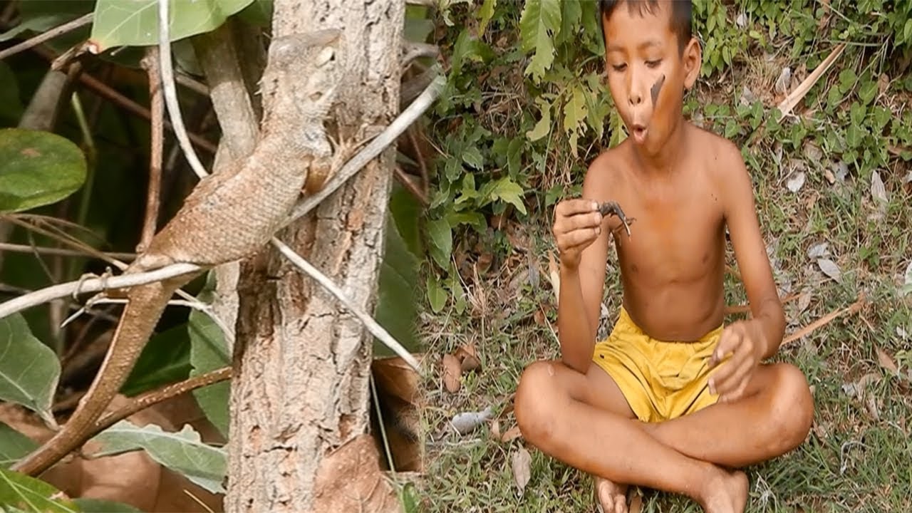 Primitive Technology - Find chameleon and eat - Cooking chameleons ...