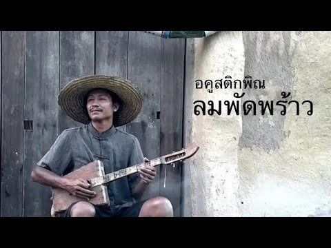 Acoustic พิณโปร่งอีสาน ลายลมพัดพร้าวกับเสียงกีต้าร์โปร่ง ,Isaan Music ...