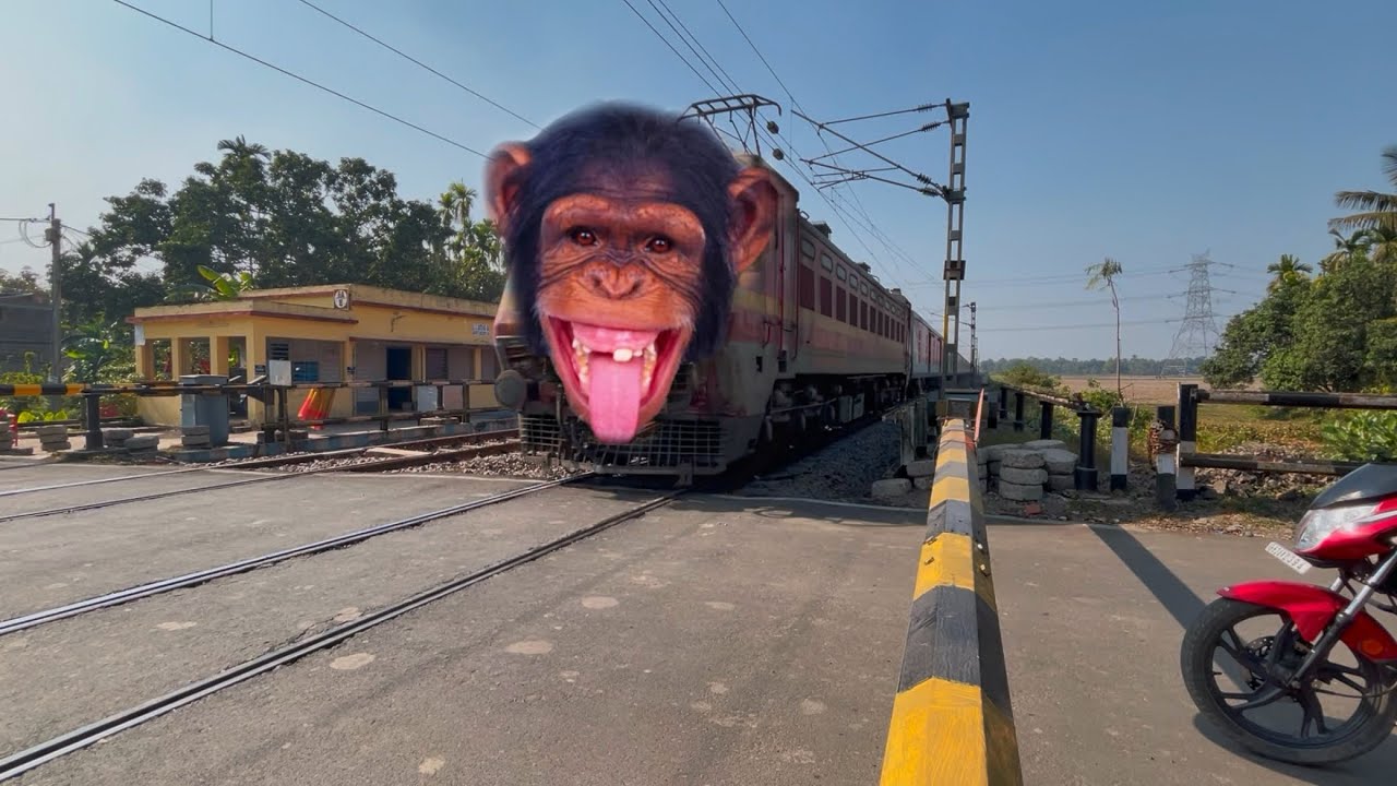 Dangerous Chimpanzee Headed Agartala Garibrath Express Furious Passing ...