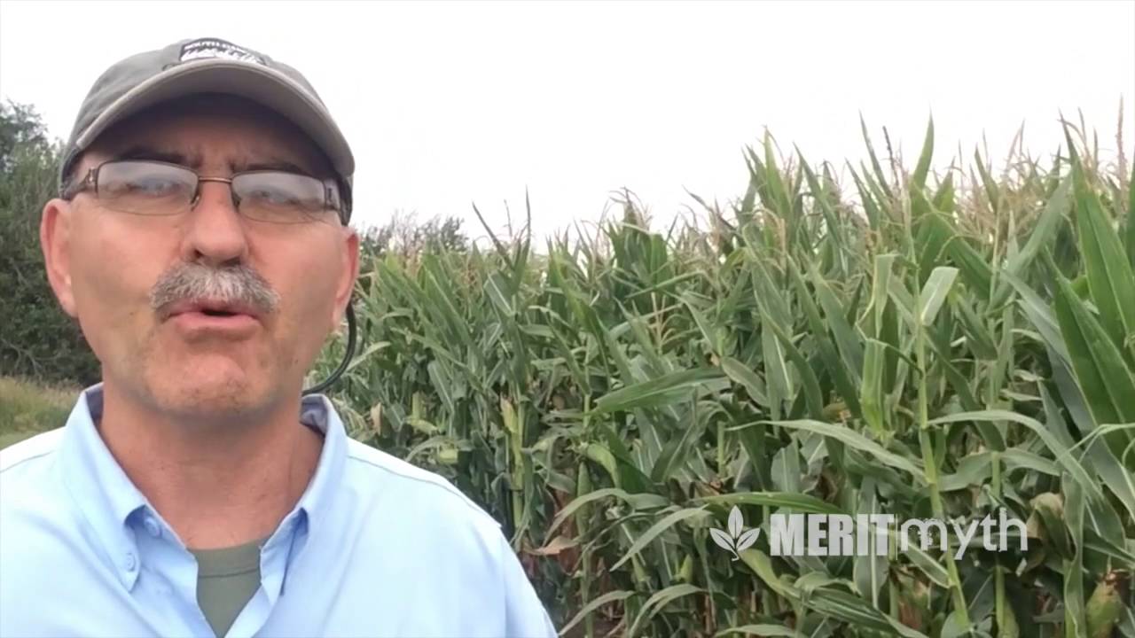 8/24: Day 3: East River - Dr. Tom Schumacher and Al Miron - YouTube